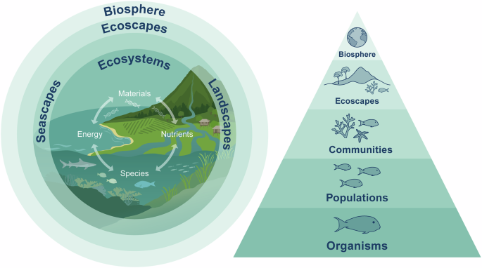 Bridging land and seascape restoration for ecoscape recovery | npj ...