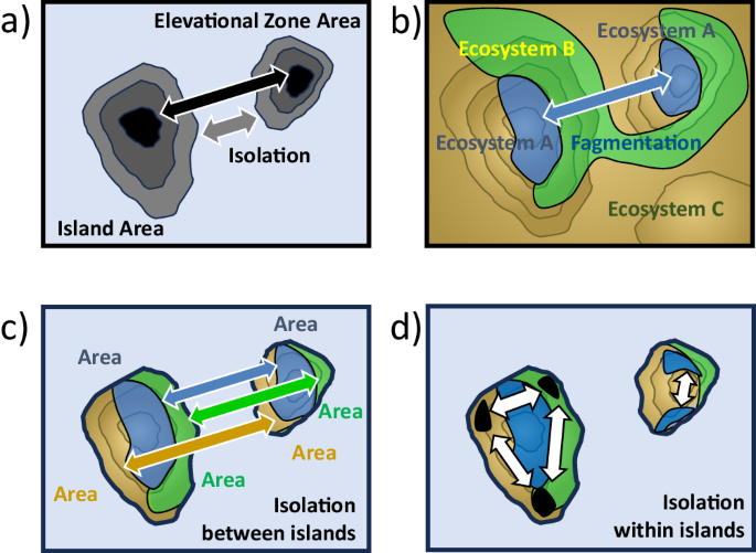 Speciation happens in company – not in isolation | npj Biodiversity