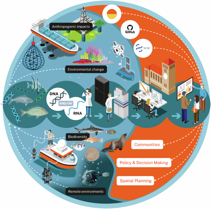 Ocean Genomes: reference genome resources for marine vertebrates | npj ...