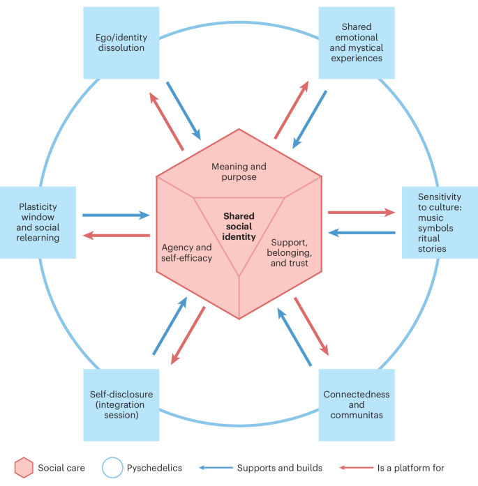 Social identity processes as a vehicle for therapeutic success in ...