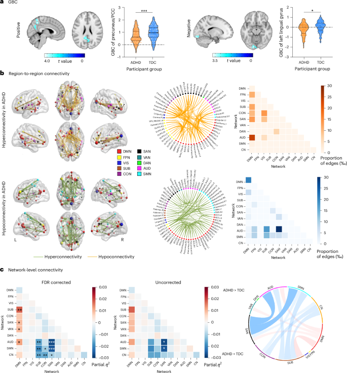 Multiscale functional connectivity reveals imbalanced interplay between ...