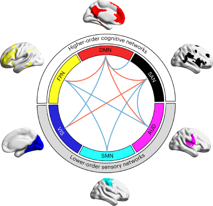 Multiscale functional connectivity reveals imbalanced interplay between ...