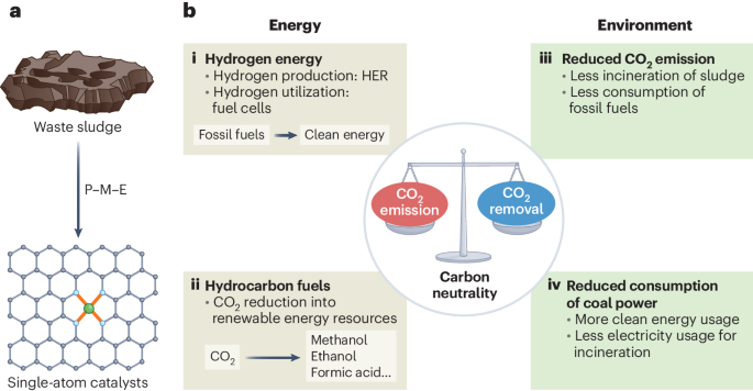 Upcycling sludge into high-performance catalysts | Nature Water