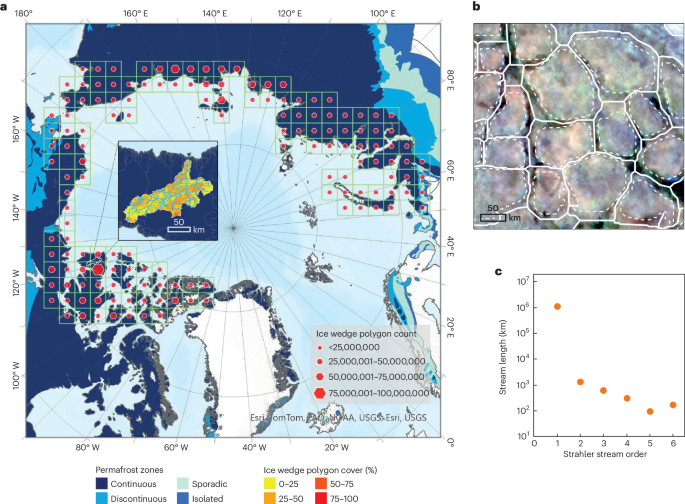 The capillaries of the Arctic tundra | Nature Water