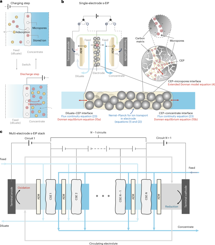 Theory for dynamic ion transport in ion-shuttling electrodes for ...