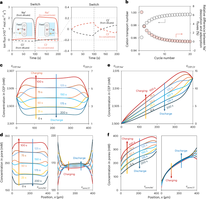 Theory for dynamic ion transport in ion-shuttling electrodes for ...