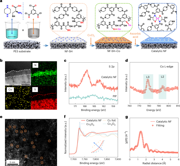 Scalable catalytic nanofiltration membranes for advanced water ...