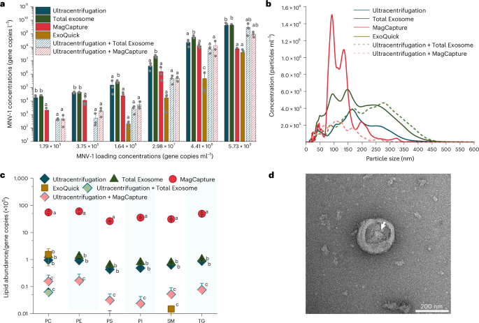 Discovery of emerging vesicle-associated viruses in wastewater and ...