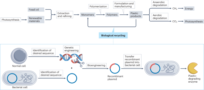 Bioengineering strategies to promote plastic circularity | Nature ...