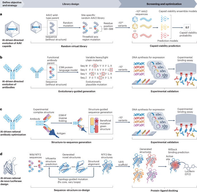 AI-driven protein design | Nature Reviews Bioengineering