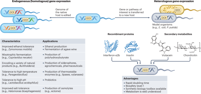 Non-model bacteria as platforms for endogenous gene expression in ...