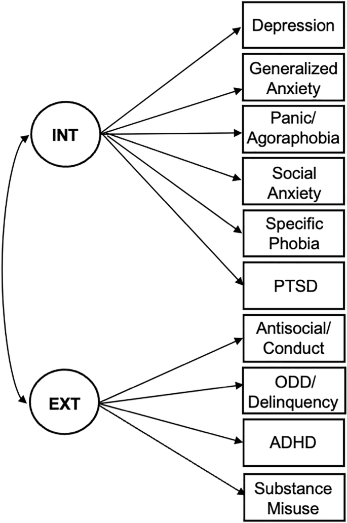 Signs and symptoms of internalizing and externalizing disorders and ...