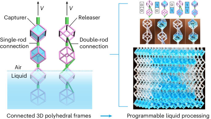 Connected three-dimensional polyhedral frames for programmable liquid processing | Nature ...