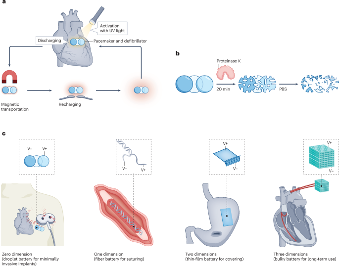 Miniaturized soft batteries for biomedical implants | Nature Chemical ...