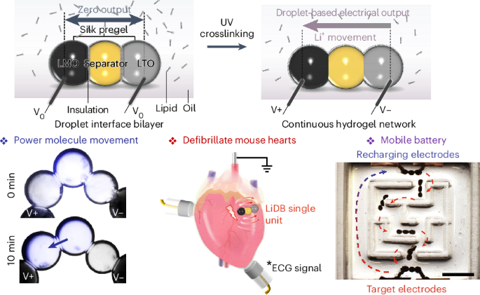 A microscale soft lithium-ion battery for tissue stimulation | Nature ...