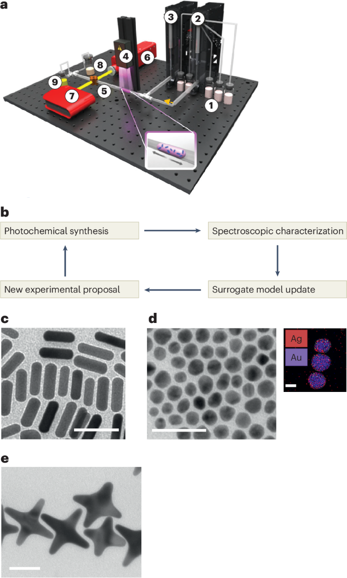 Self-driving nanoparticle synthesis | Nature Chemical Engineering
