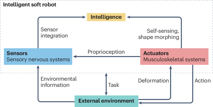 Bioinspired electronics for intelligent soft robots | Nature Reviews ...