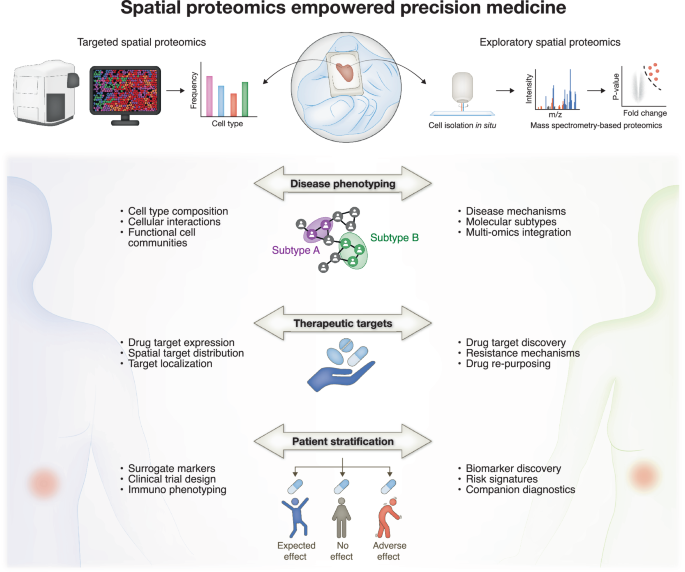Spatial proteomics in translational and clinical research | Molecular ...