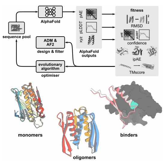 AlphaDesign: a de novo protein design framework based on AlphaFold ...