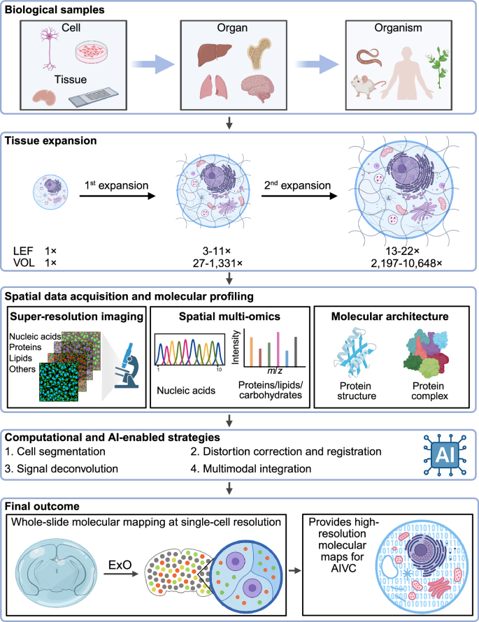 Expansion omics: from expansion microscopy to spatial omics | Molecular ...