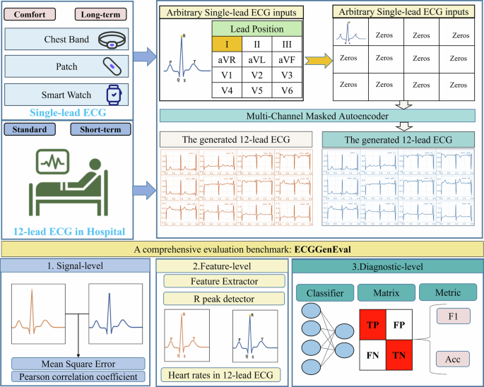 Multi-channel masked autoencoder and comprehensive evaluations for reconstructing 12-lead ECG ...