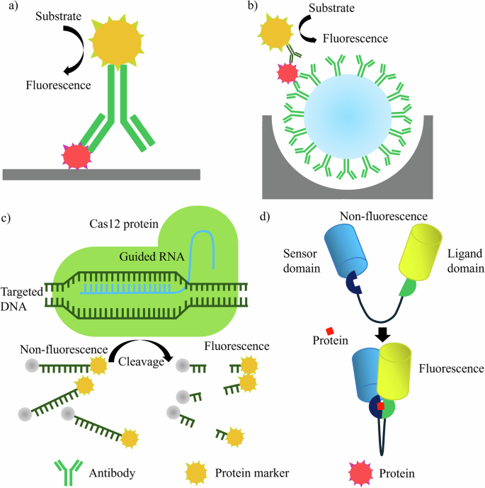 Optical biosensors for diagnosing neurodegenerative diseases | npj ...