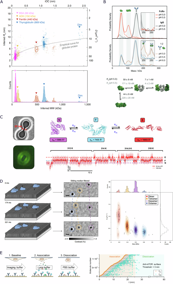 Label-free single-molecule optical detection | npj Biosensing