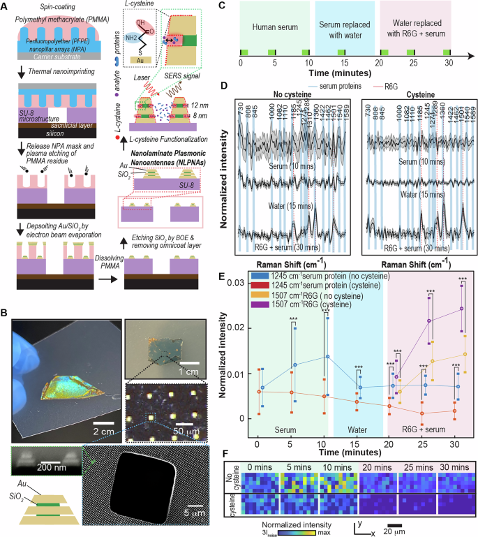 Zwitterionic nanoplasmonic bio-meshes for in situ spatiotemporal SERS ...