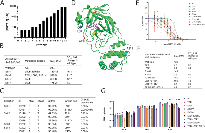 Preclinical characterization of EGT710, an oral non-peptidomimetic ...