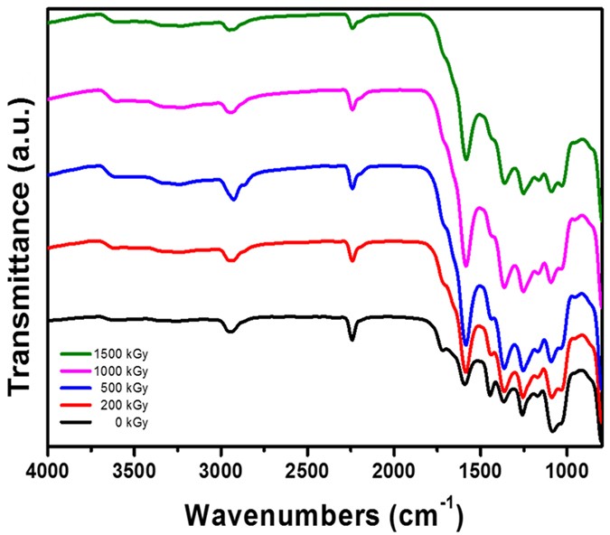 Comprehensive stabilization mechanism of electron-beam irradiated ...