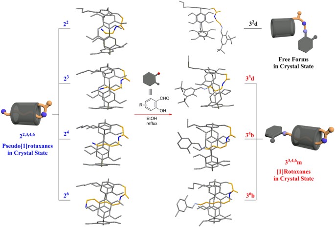 Formation of a series of stable pillar[5]arene-based pseudo[1 ...