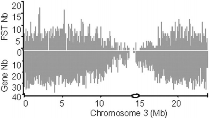 T‐DNA integration into the Arabidopsis genome depends on sequences of ...