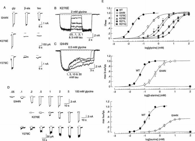 Identification of intracellular and extracellular domains mediating ...