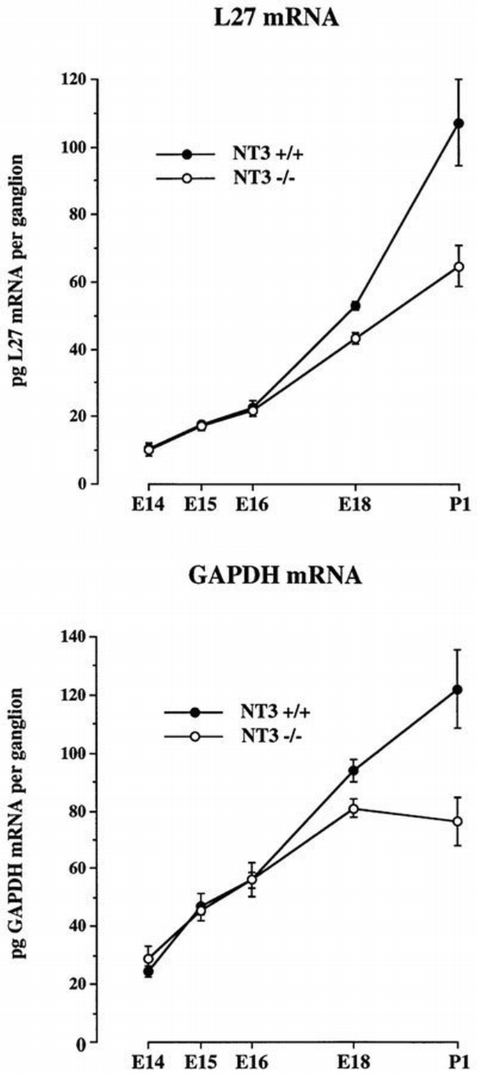 Sympathetic neuron survival and TrkA expression in NT3‐deficient mouse ...