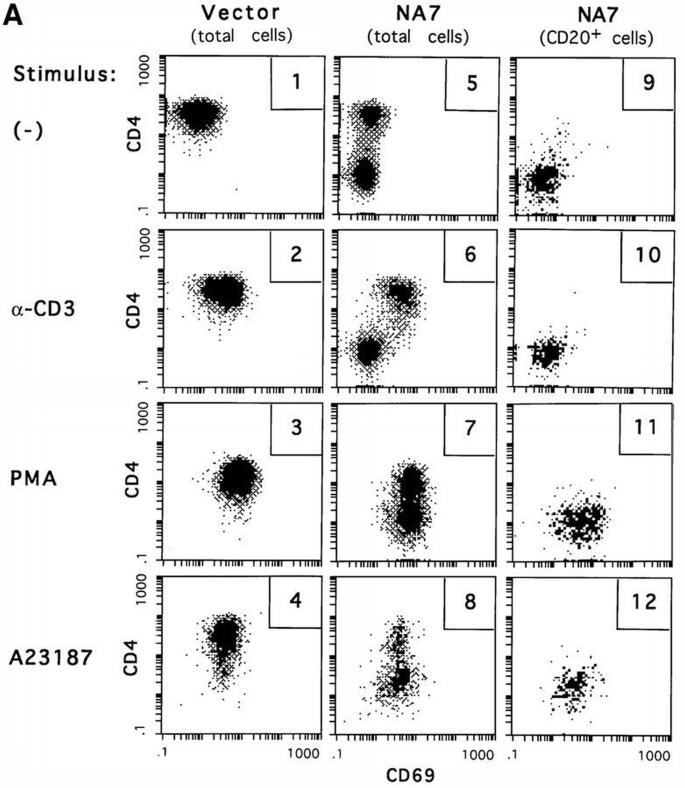 Separable functions of Nef disrupt two aspects of T cell receptor ...
