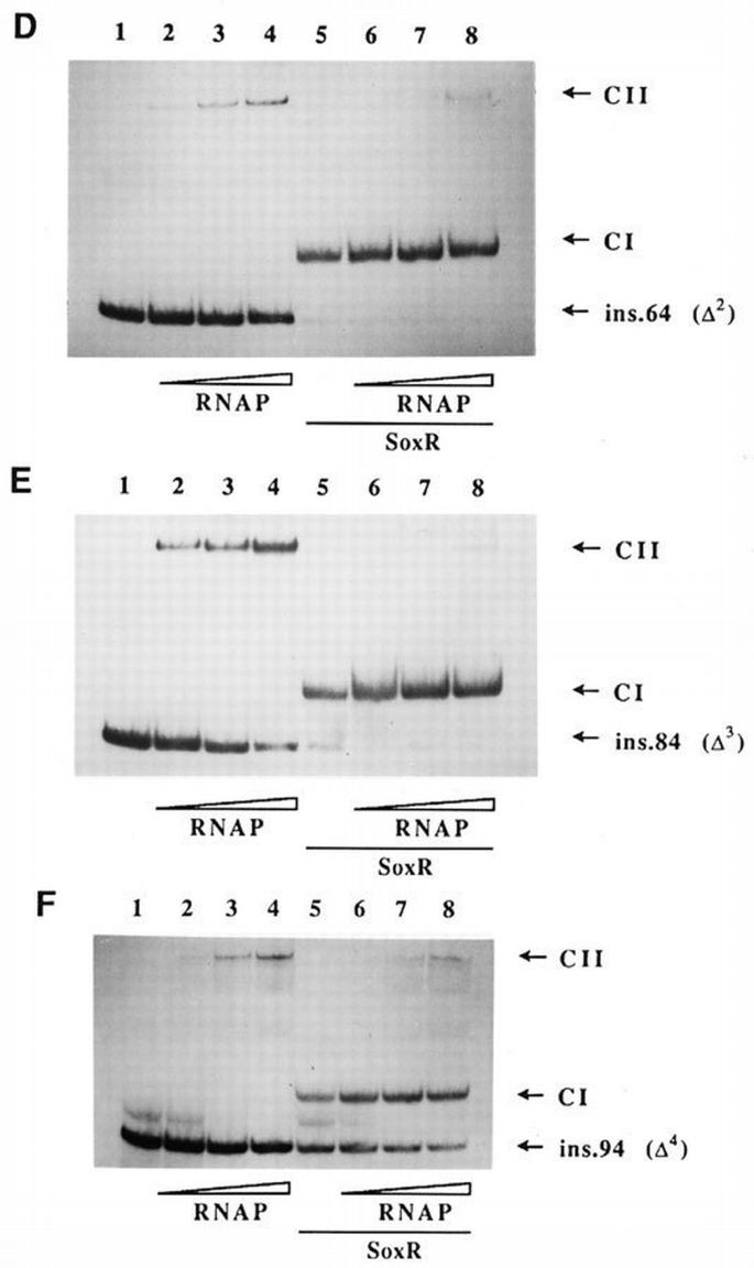 Spacing of promoter elements regulates the basal expression of the soxS ...