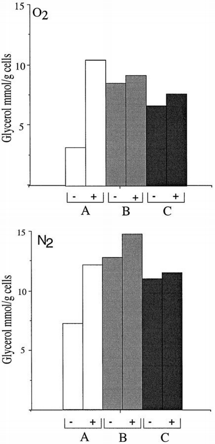 The two isoenzymes for yeast NAD+‐dependent glycerol 3‐phosphate ...
