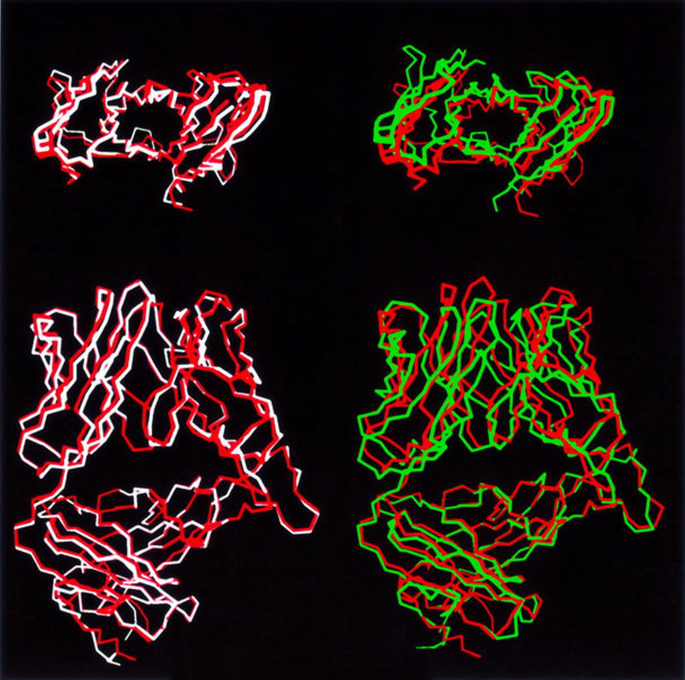 Atomic structure of an αβ T cell receptor (TCR) heterodimer in complex ...