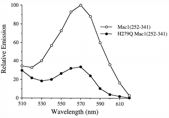 Identification of a copper‐induced intramolecular interaction in the ...