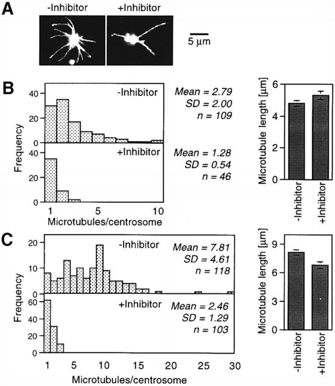 Identification of MINUS, a small polypeptide that functions as a ...