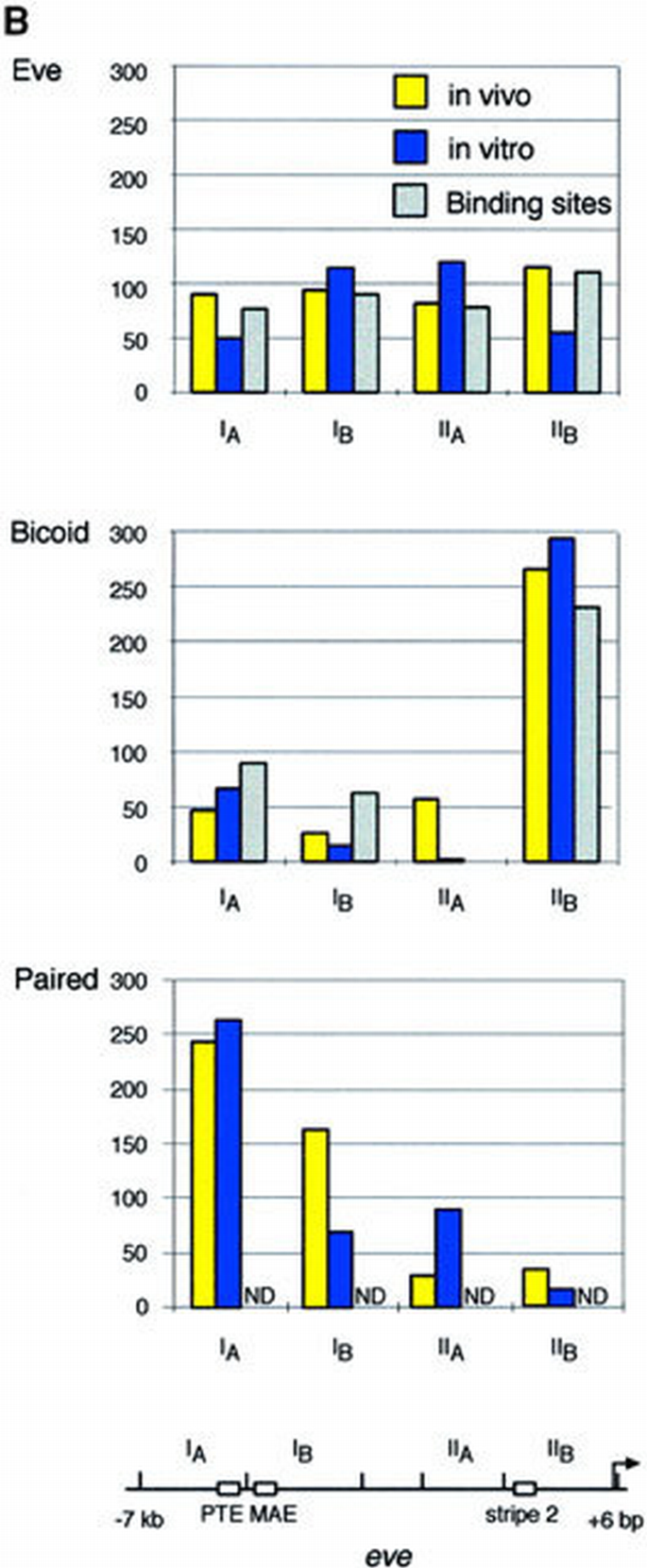 A comparison of in vivo and in vitro DNA‐binding specificities suggests ...