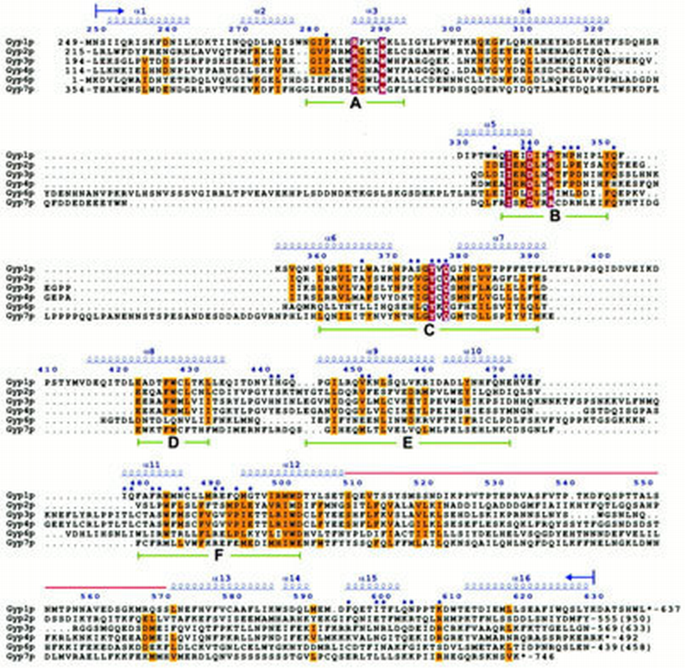 Crystal structure of the GAP domain of Gyp1p: first insights into ...