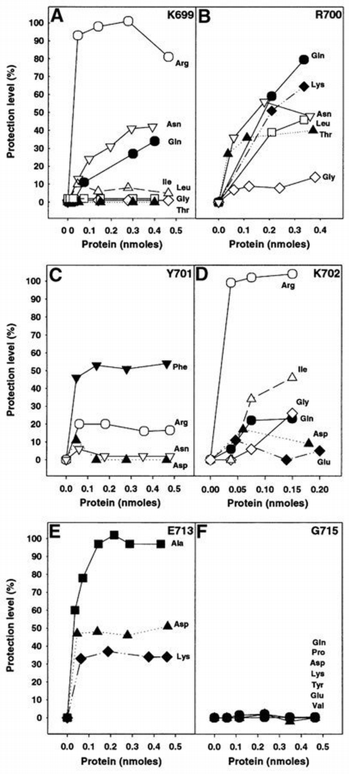 Mapping the fMet‐tRNAfMet binding site of initiation factor IF2 | The ...