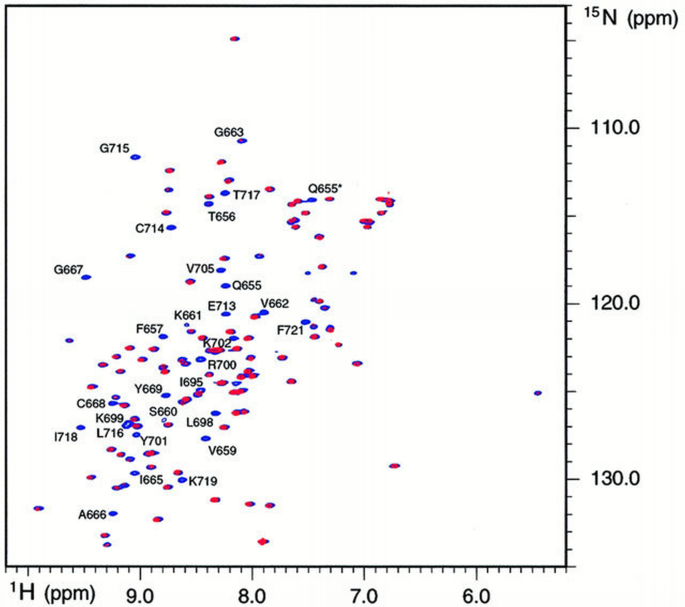 Mapping the fMet‐tRNAfMet binding site of initiation factor IF2 | The ...