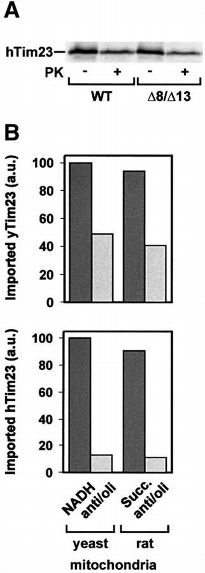 The role of the TIM8–13 complex in the import of Tim23 into ...