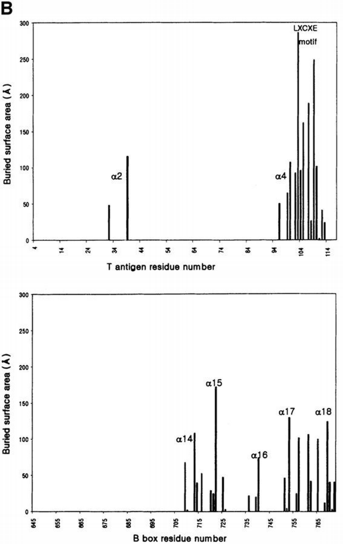 Structural basis for the inactivation of retinoblastoma tumor ...