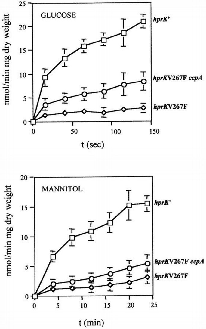 Mutations lowering the phosphatase activity of HPr kinase/phosphatase ...