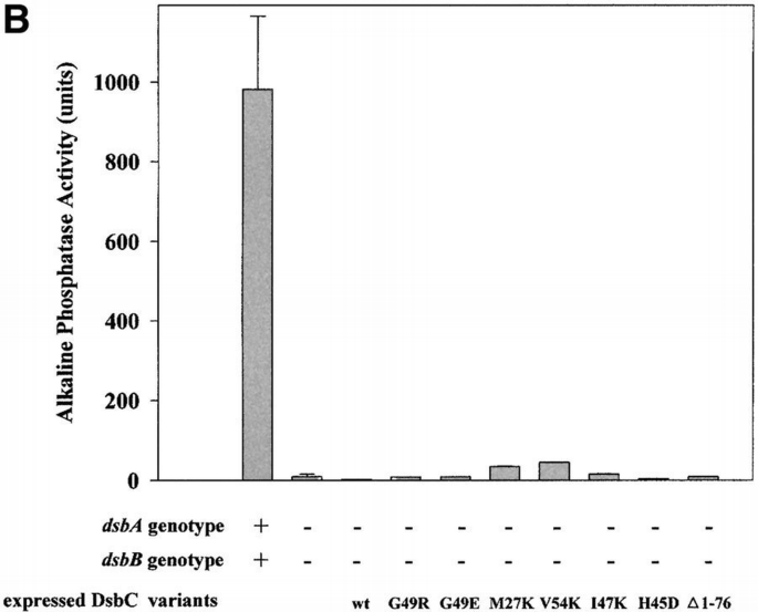 Turning a disulfide isomerase into an oxidase: DsbC mutants that ...