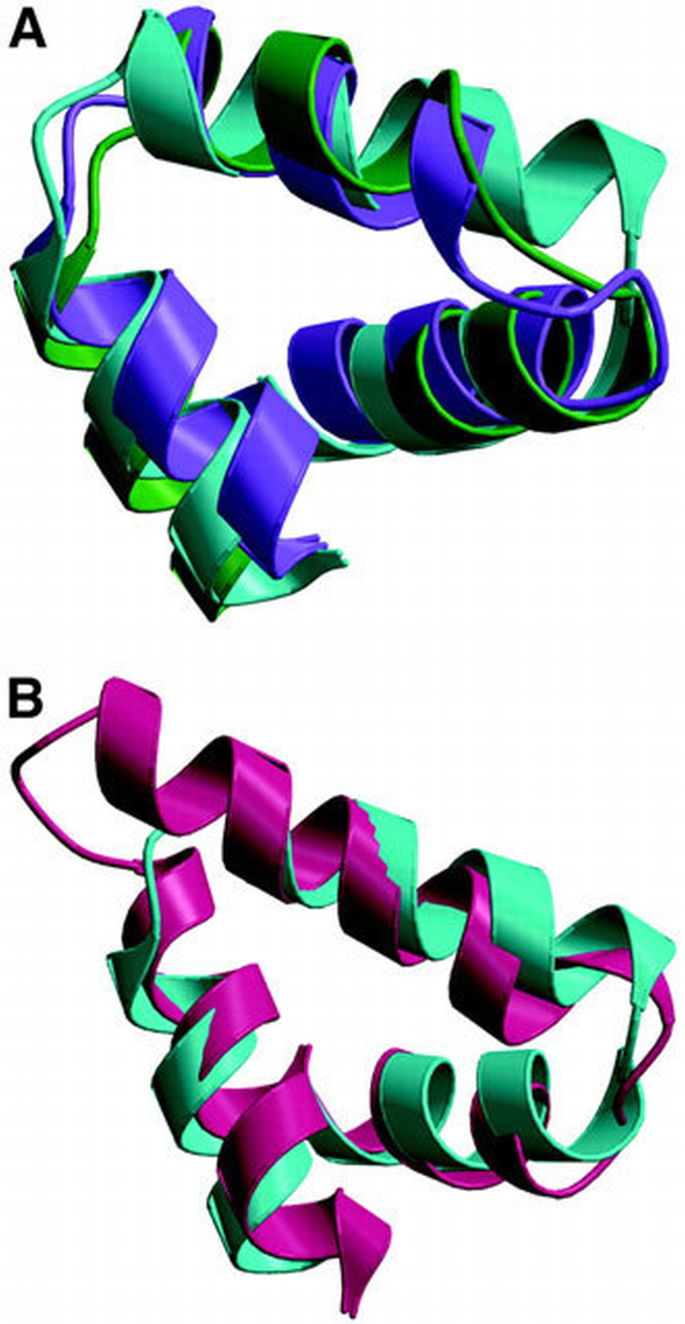 Crystal structure of the middle and C‐terminal domains of the flagellar ...