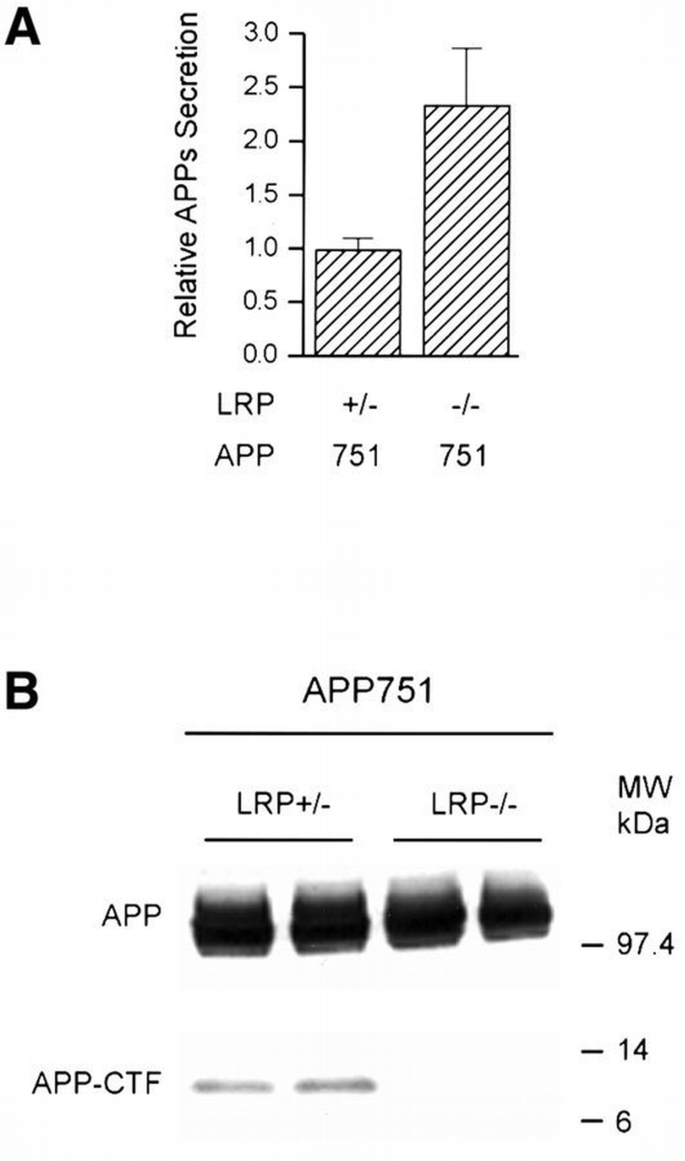 The cytoplasmic domain of the LDL receptor‐related protein regulates ...